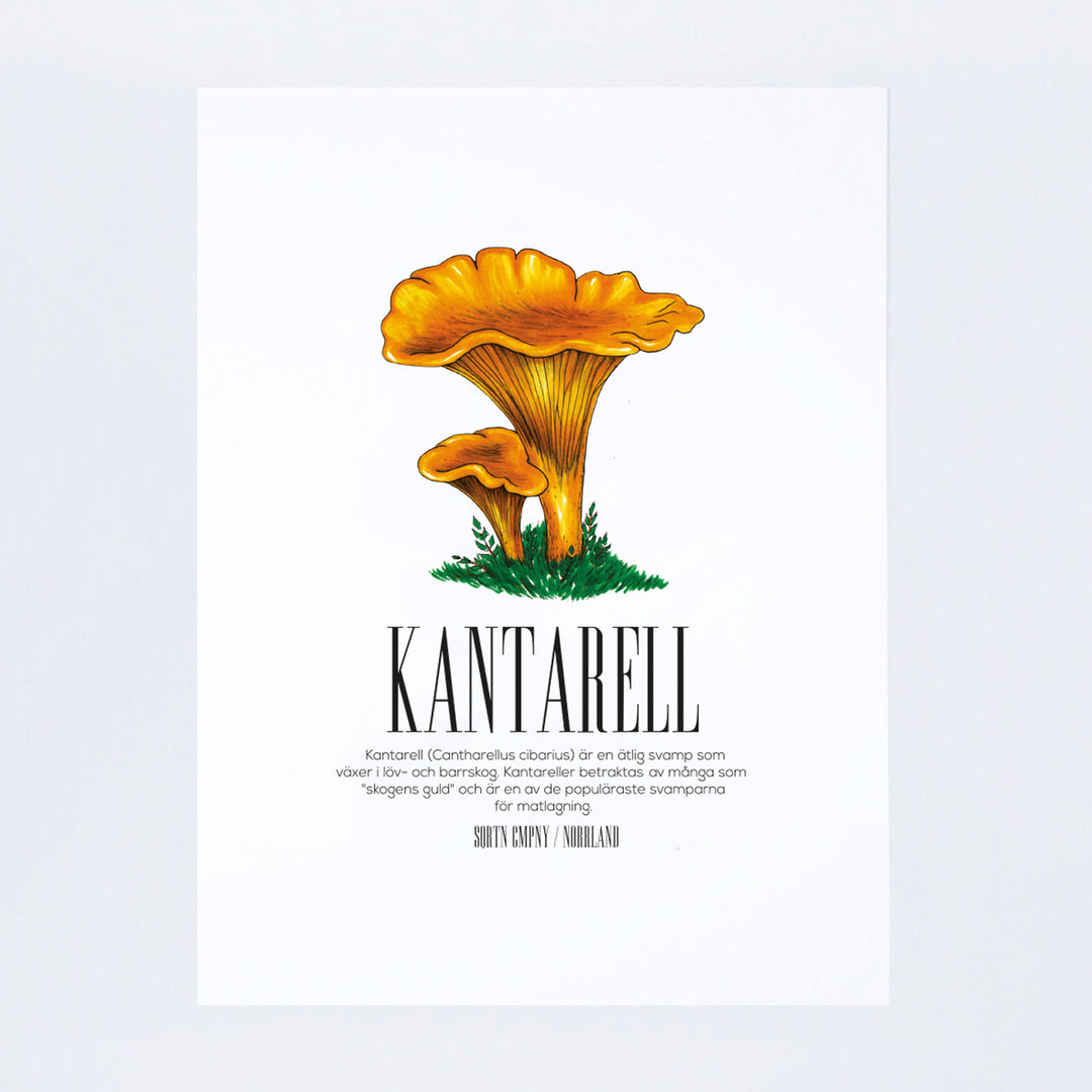 POSTER KANTARELL – Sqrtn Company